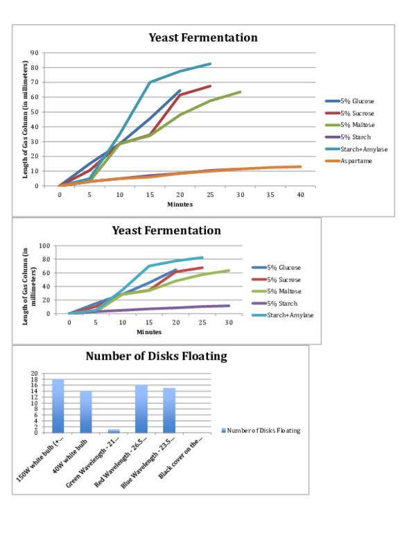 (DOC) Lab 6 Graphs