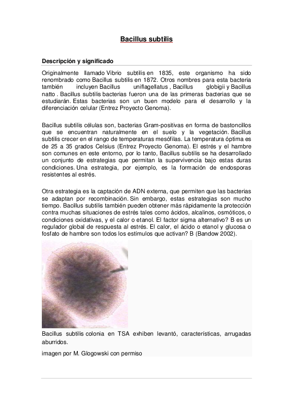 (DOC) Documento bacillus subtilis
