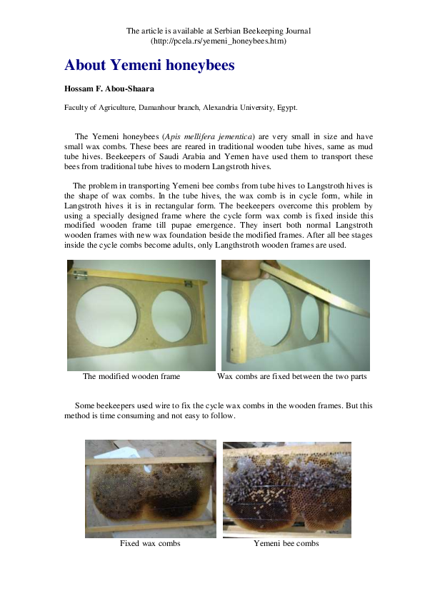 (PDF) About Yemeni honey bees