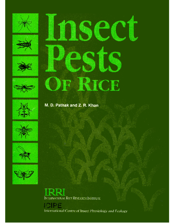 (PDF) Insect Pests of Rice