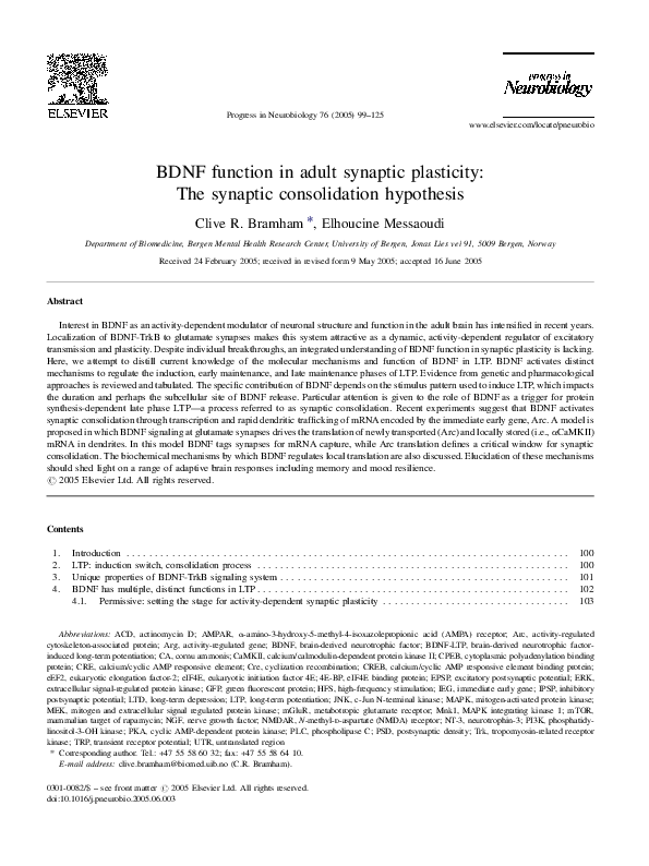(PDF) BDNF function in adult synaptic plasticity: the synaptic ...