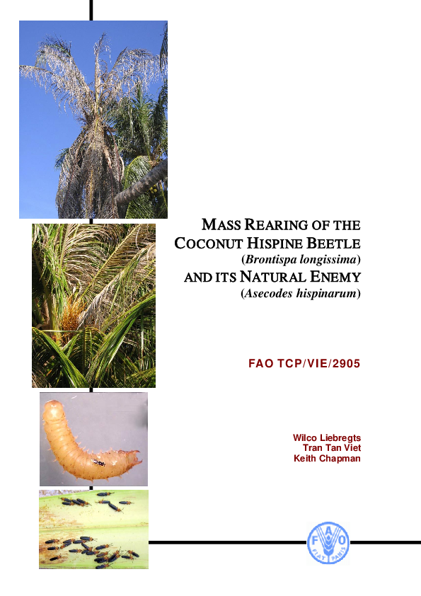 (PDF) MASS REARING OF THE COCONUT HISPINE BEETLE (Brontispa longissima ...