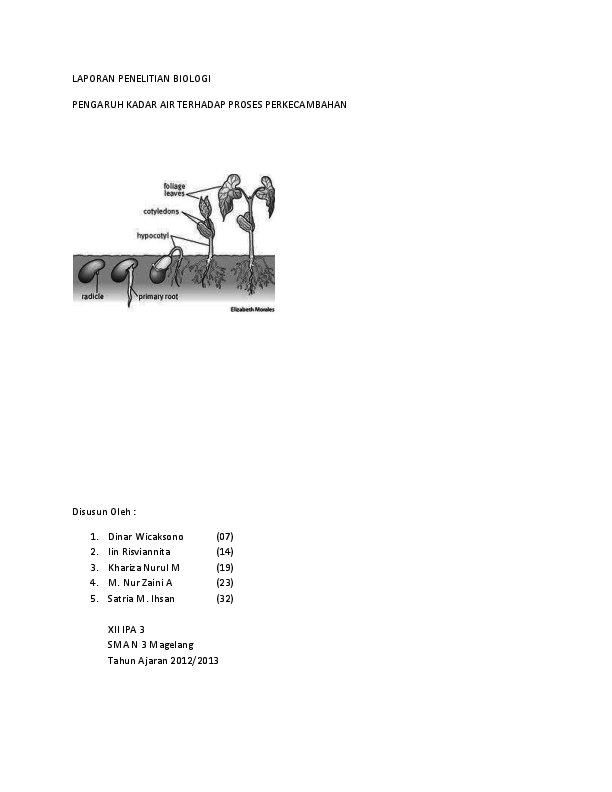 (DOC) LAPORAN PENELITIAN BIOLOGI PENGARUH KADAR AIR TERHADAP PROSES ...