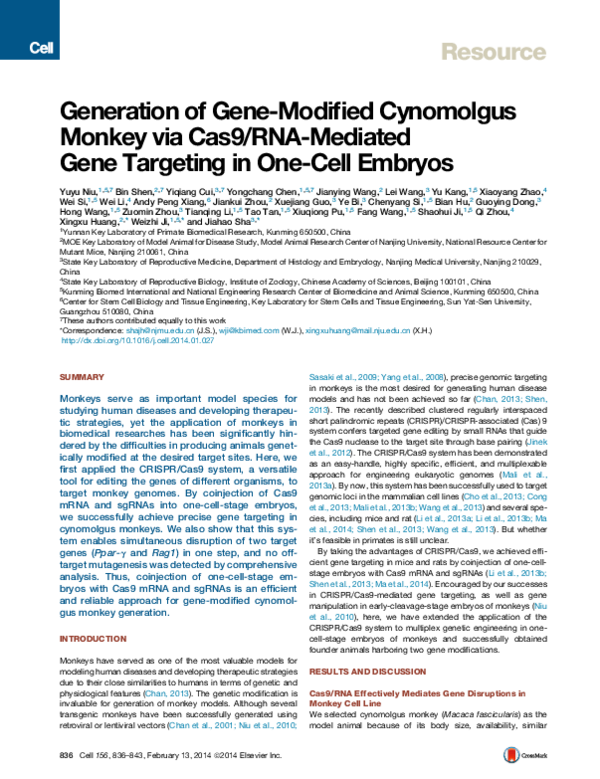 (PDF) CRISPR monkey