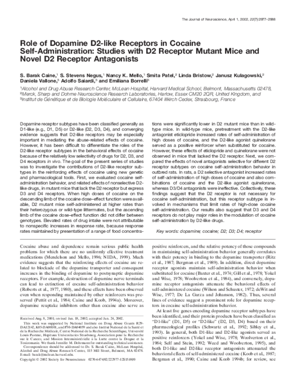(PDF) Role of Dopamine D2-like Receptors in Cocaine Self-Administration ...