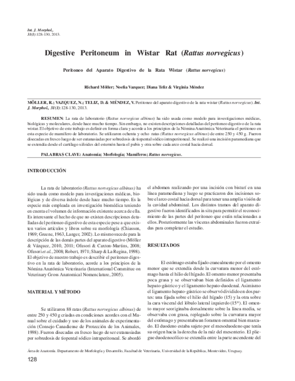 (PDF) Digestive Peritoneum in Wistar Rat (Rattus norvegicus) Peritoneo ...