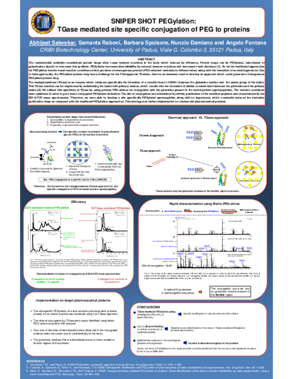 (PDF) SNIPER SHOT PEGylation: TGase mediated site-specific conjugation ...