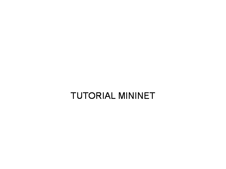 Pdf Tutorial Mininet 