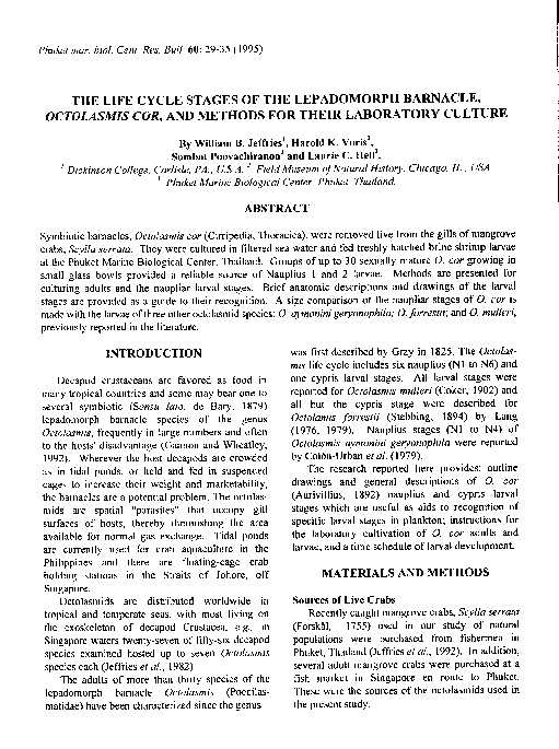(PDF) Life cycle stages of the Lepadomorph barnacle, Octolasmis cor