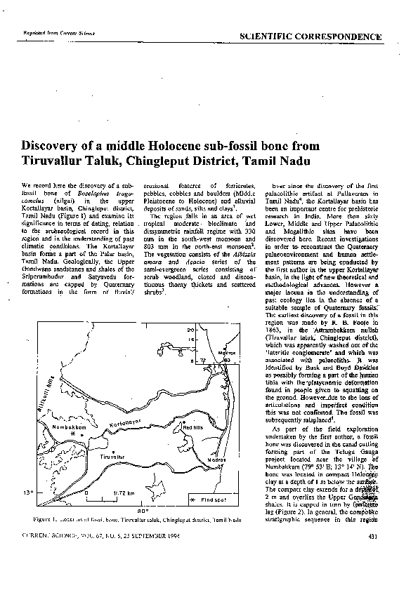 (PDF) Discovery of a Middle Holocene subfossil bone.....