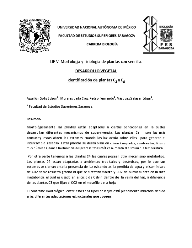 (DOC) DESARROLLO VEGETAL Identificación de plantas C3 y C4