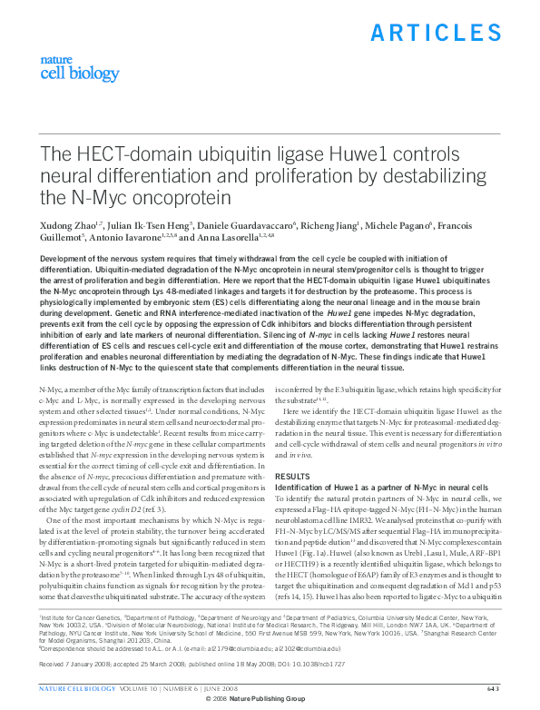 (PDF) The HECT-domain ubiquitin ligase Huwe1 controls neural ...