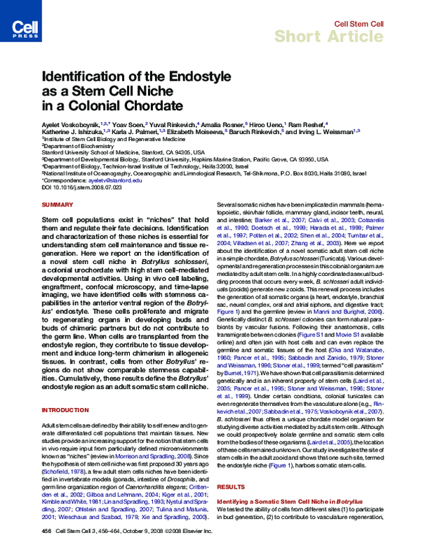 (PDF) Identification of the Endostyle as a Stem Cell Niche in a ...