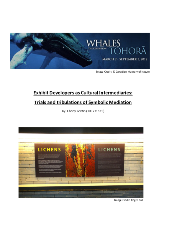 (DOC) Exhibit Developers as Cultural Intermediaries: Trials and ...