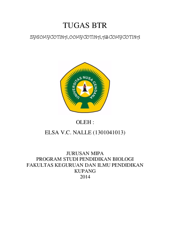 TUGAS BTR