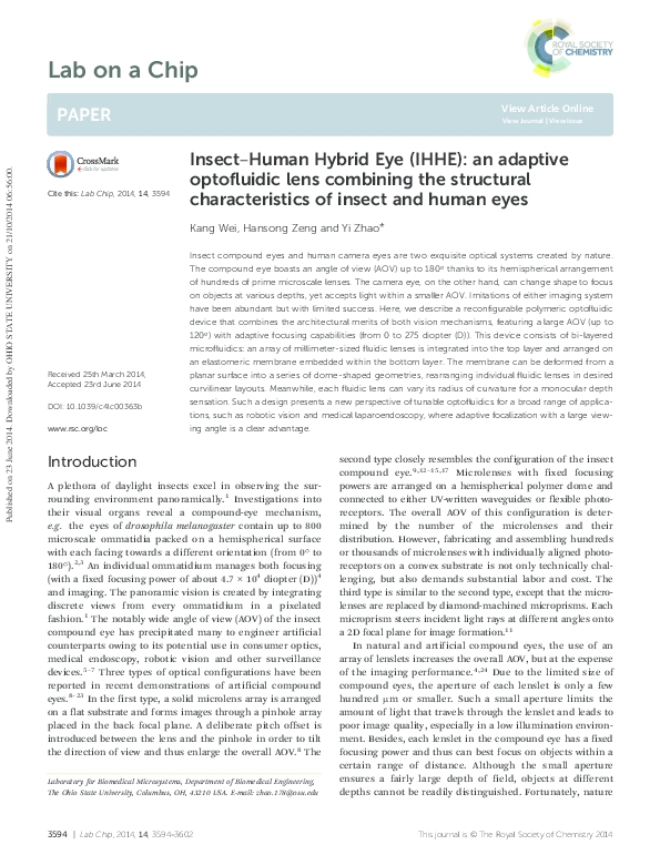 (PDF) Lab on a Chip Insect–Human Hybrid Eye (IHHE): an adaptive ...