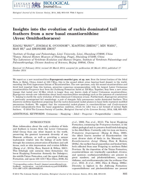 (PDF) Insights into the evolution of rachis dominated tail feathers ...