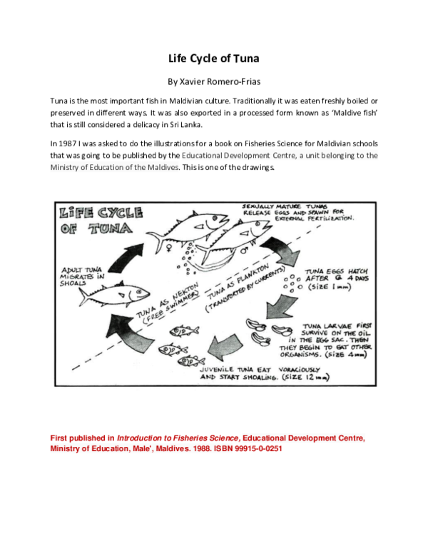 (PDF) Life Cycle of Tuna