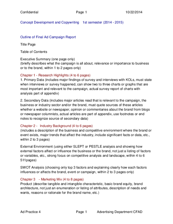 (DOC) Ad Campaign Outline