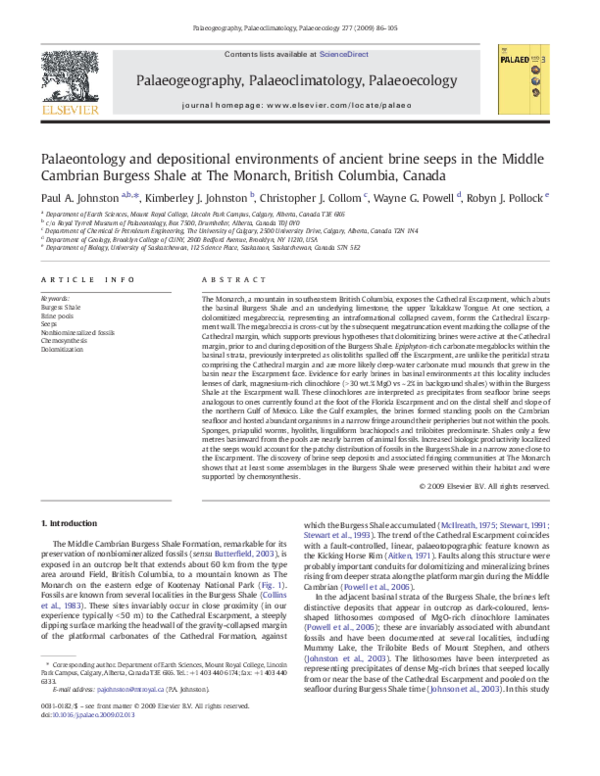 (PDF) Palaeontology and depositional environments of ancient brine ...