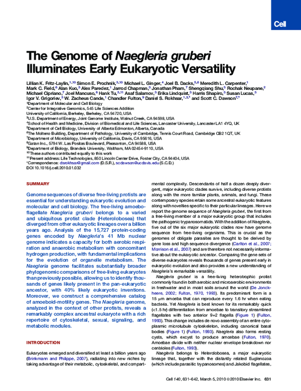 (PDF) The Genome of Naegleria gruberi Illuminates Early Eukaryotic ...