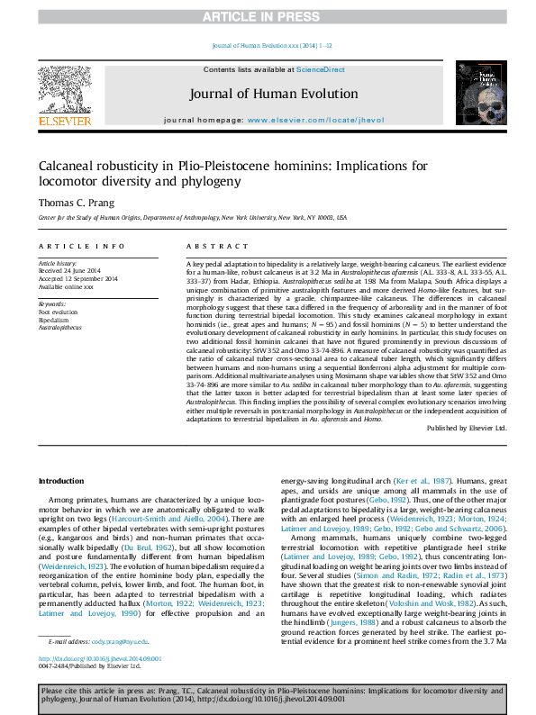 (PDF) Calcaneal robusticity in Plio-Pleistocene hominins: Implications ...