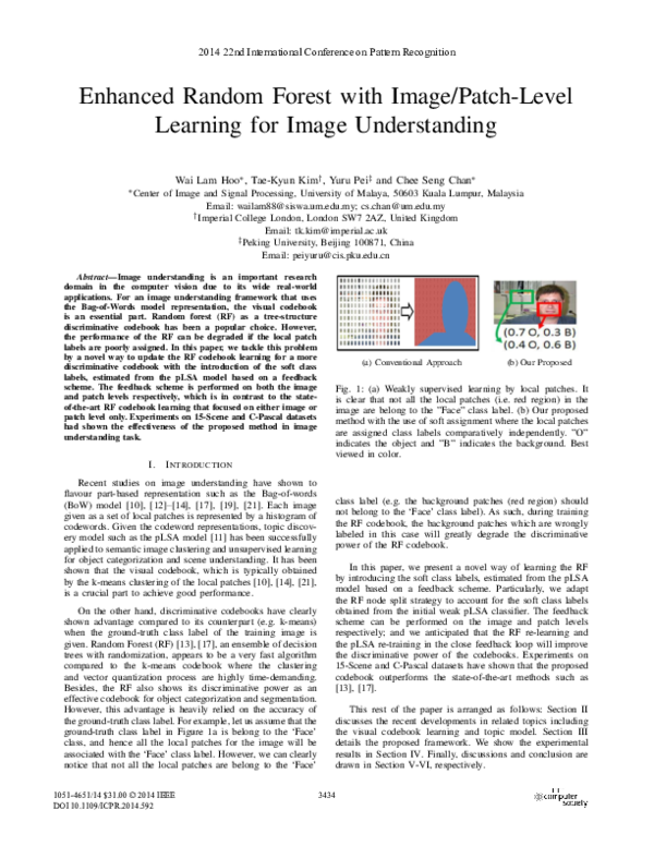 (PDF) Enhanced Random Forest with Image/Patch-Level Learning for Image Understanding