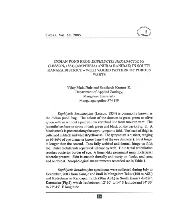 (DOC) INDIAN POND FROG- WITH VARIED PATTERN OF POROUS WARTS