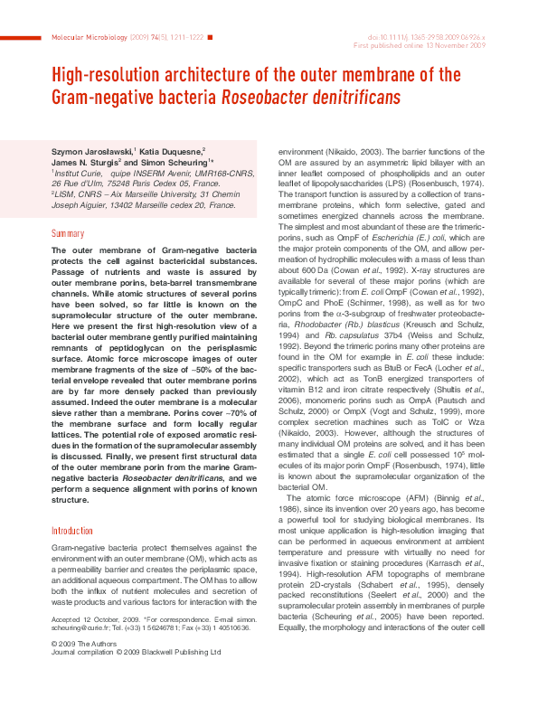 (PDF) High-resolution architecture of the outer membrane of the Gram ...