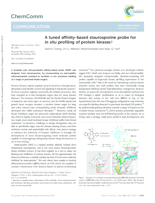 (PDF) A tuned affinity-based staurosporine probe for in situ profiling ...