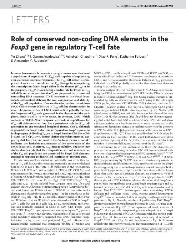 Pdf Role Of Conserved Non Coding Dna Elements In The Foxp3 Gene In