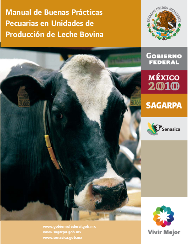 (PDF) Manual de Buenas Prácticas