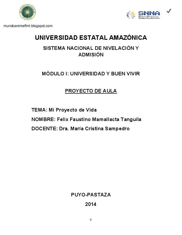 (PDF) FORMATO PROYECTO DE VIDA