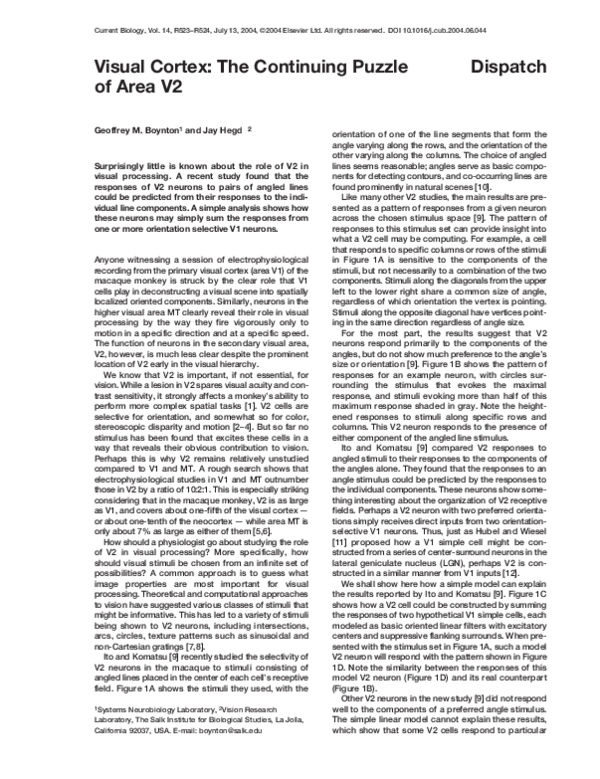 (PDF) Visual Cortex: The Continuing Puzzle of Area V2