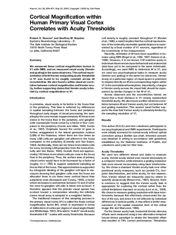 (PDF) Cortical Magnification within Human Primary Visual Cortex ...
