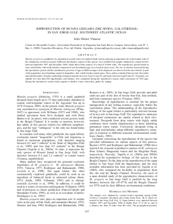 (PDF) REPRODUCTION OF MUNIDA GREGARIA (DECAPODA: GALATHEIDAE) IN SAN ...