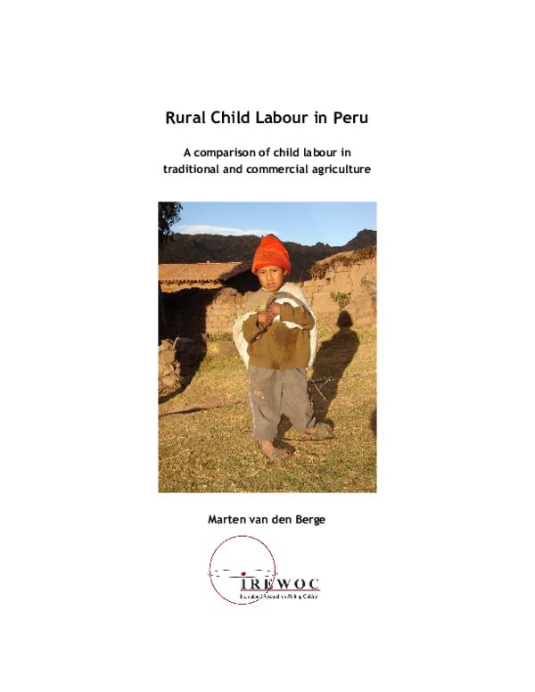(PDF) Rural Child Labour in Peru. A comparison of child labour in ...