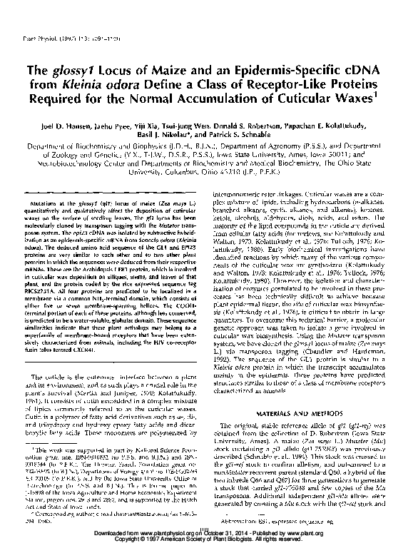 (PDF) The glossy7 Locus of Maize and an Epidermis-Specific cDNA from ...