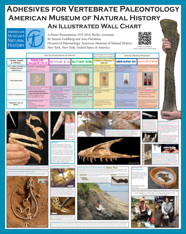(PDF) Adhesives for Vertebrate Paleontology, American Museum of Natural ...