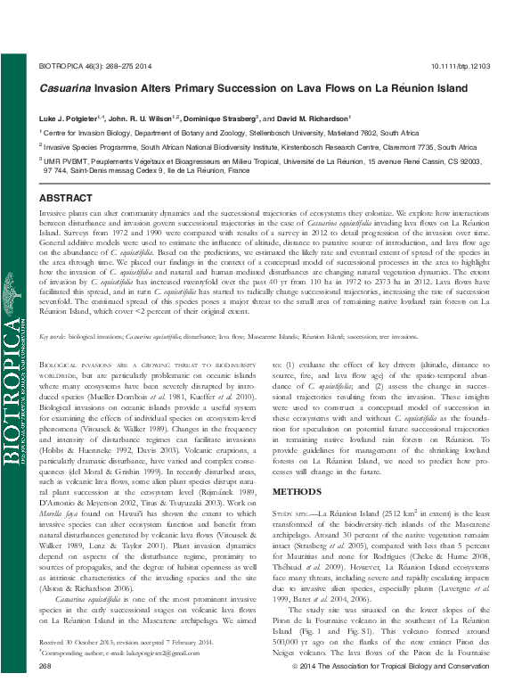 (PDF) Casuarina Invasion Alters Primary Succession on Lava Flows on La ...