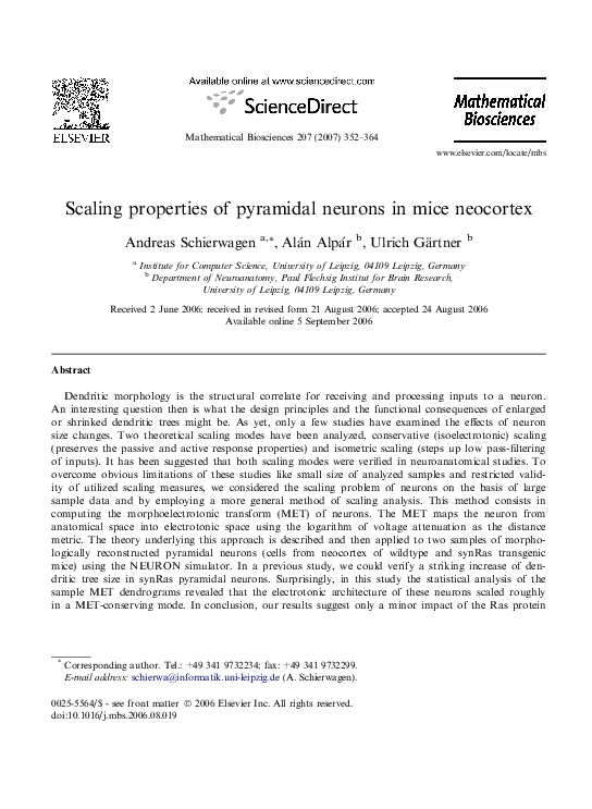 Scaling properties of pyramidal neurons in mice neocortex