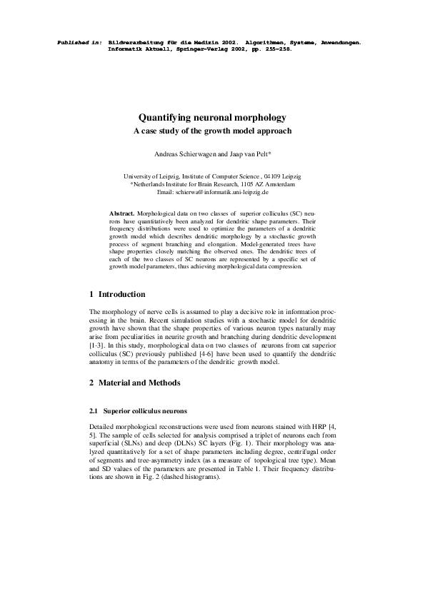 Quantifying Neuronal Morphology: A Case Study of the Growth Model Approach