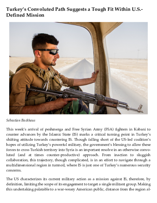 (PDF) Turkey’s Convoluted Path Suggests a Tough Fit Within U.S.-Defined ...