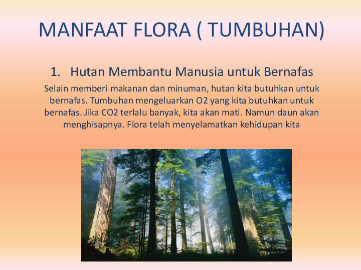 (PPT) MANFAAT FLORA TUMBUHAN