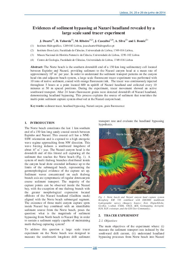 (PDF) Evidences of sediment bypassing at Nazaré headland revealed by a large scale sand tracer ...