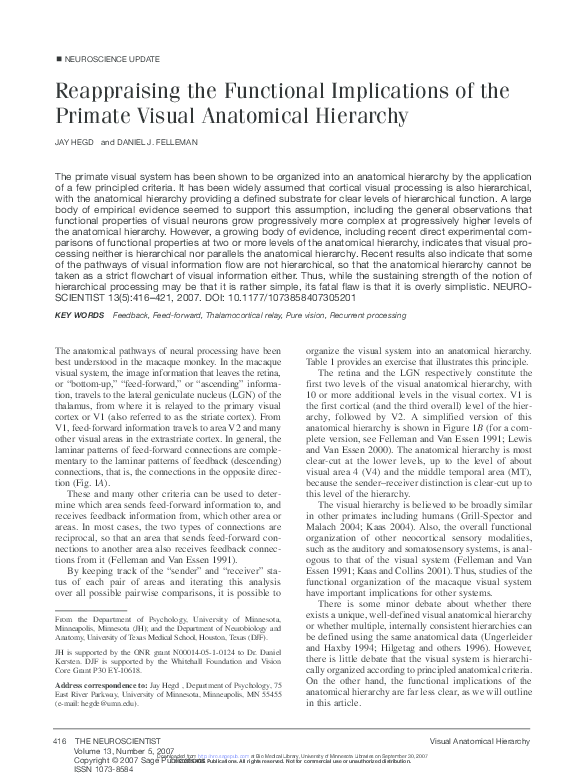 (PDF) Reappraising the Functional Implications of the Primate Visual Anatomical Hierarchy