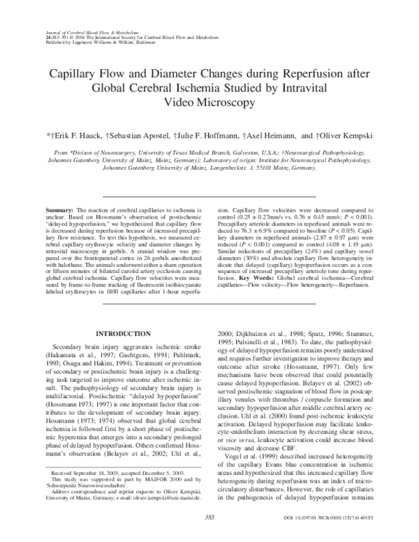 (PDF) Capillary Flow and Diameter Changes during Reperfusion after ...