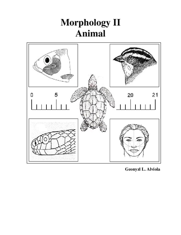 (PDF) Laboratory Manual on Animal Morphology