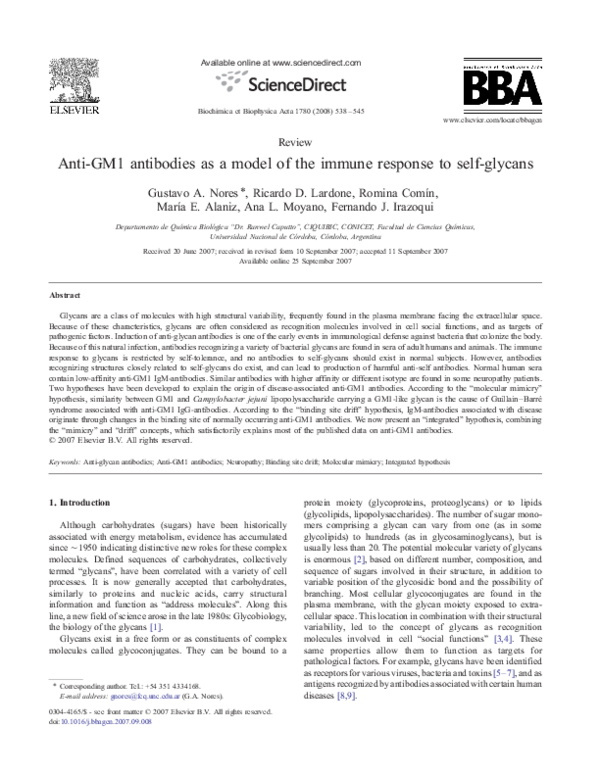 (PDF) Anti-GM1 antibodies as a model of the immune response to self-glycans