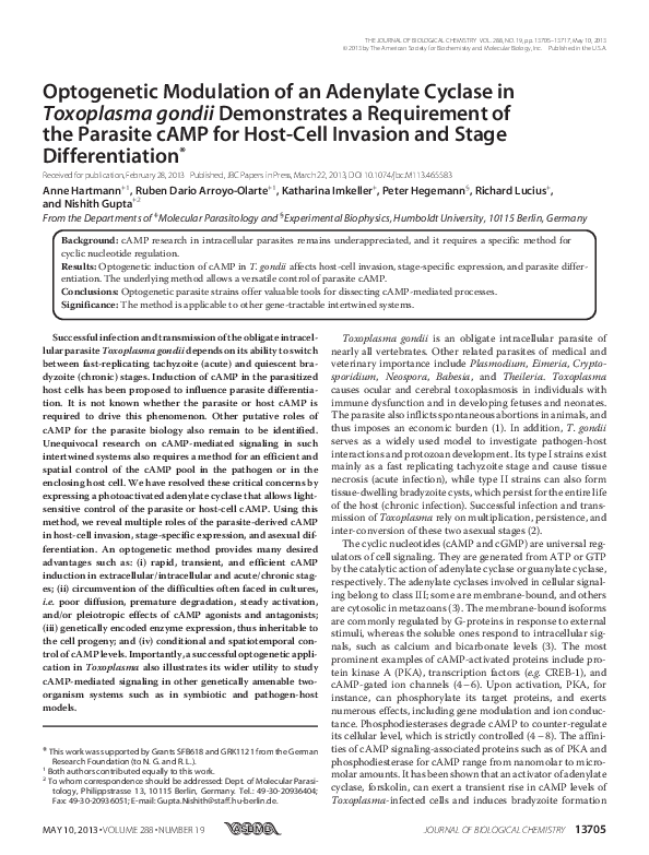 (PDF) Optogenetic modulation of an adenylate cyclase in Toxoplasma ...